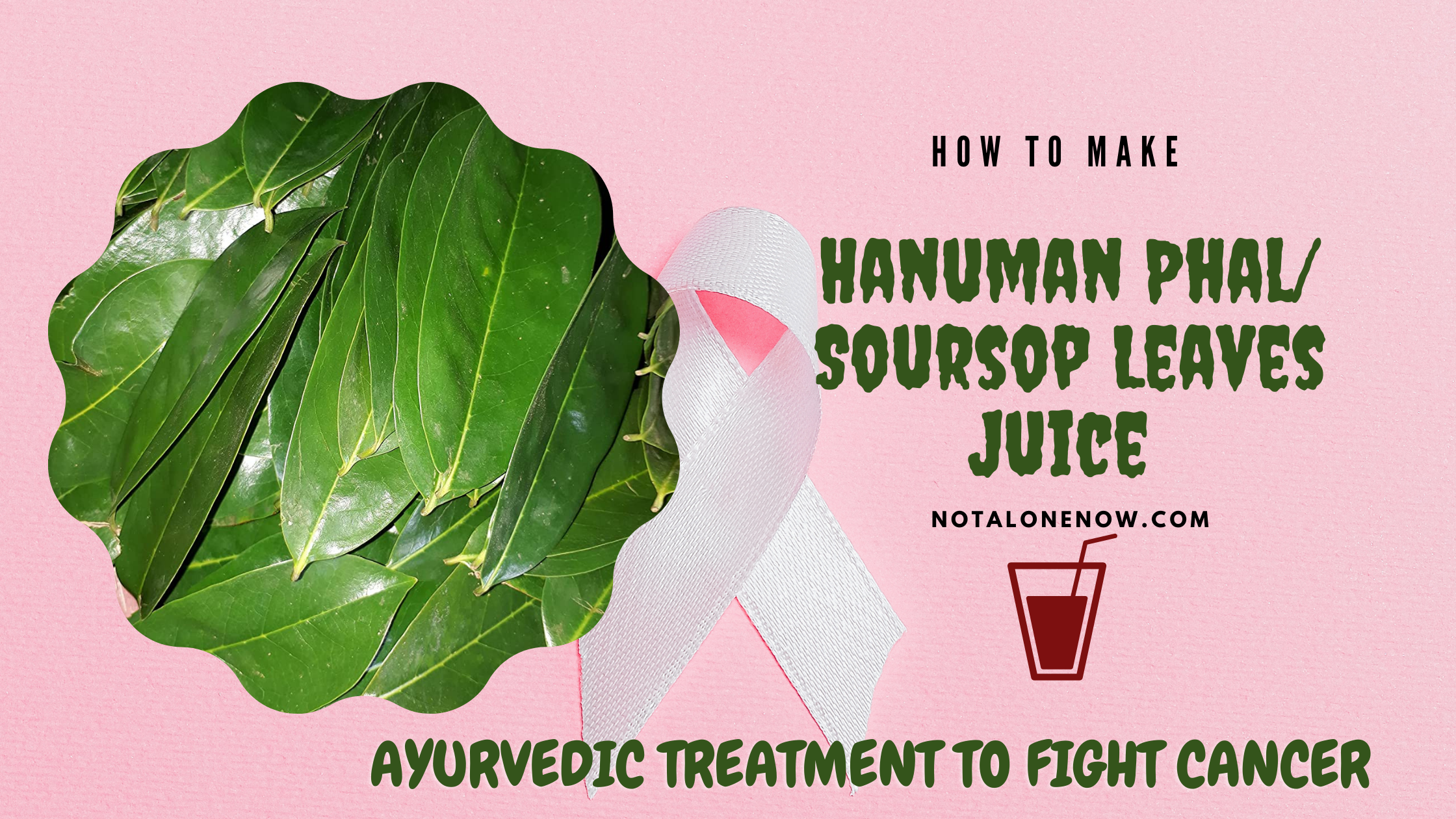 Hanuman Phal, Soursop for Cancer, Dose, Usage, Personal Experience