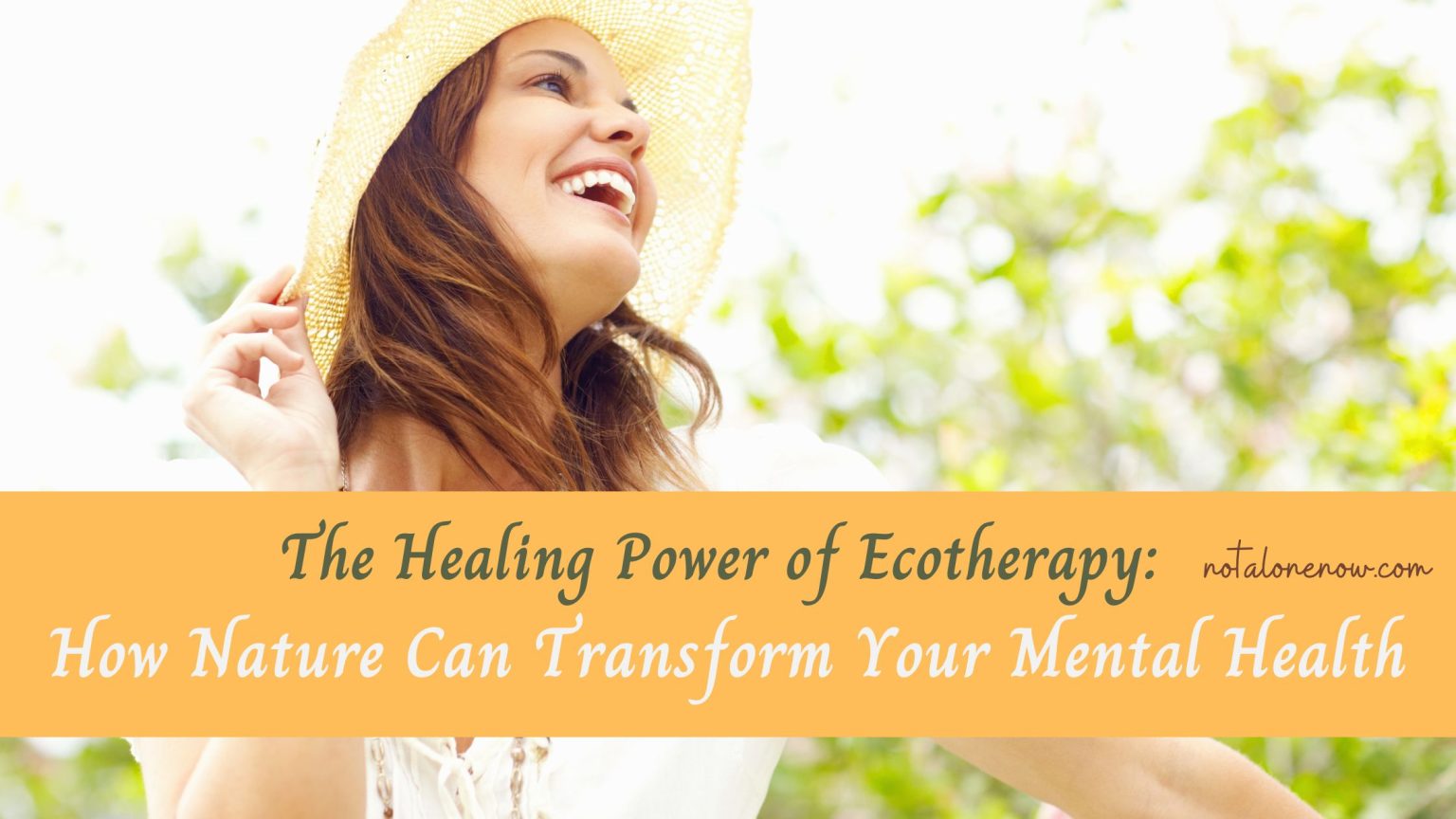 The Healing Power of Ecotherapy: How Nature Can Transform Your Mental ...