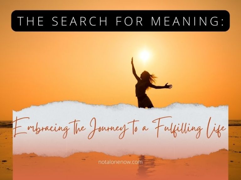 The Search for Meaning: Embracing the Journey to a Fulfilling Life ...